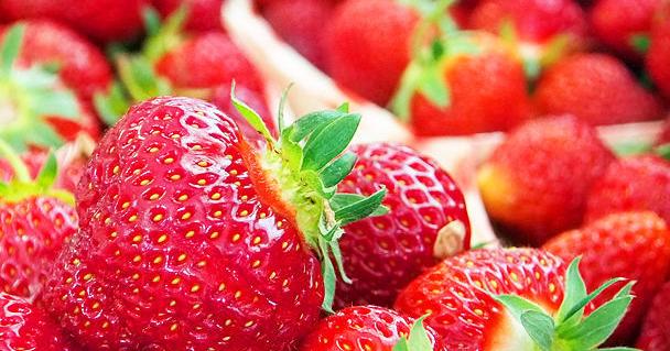 Tales From Granny Squannit: Kutâputush Wuchee Wutâhumuneash (Thank You ...