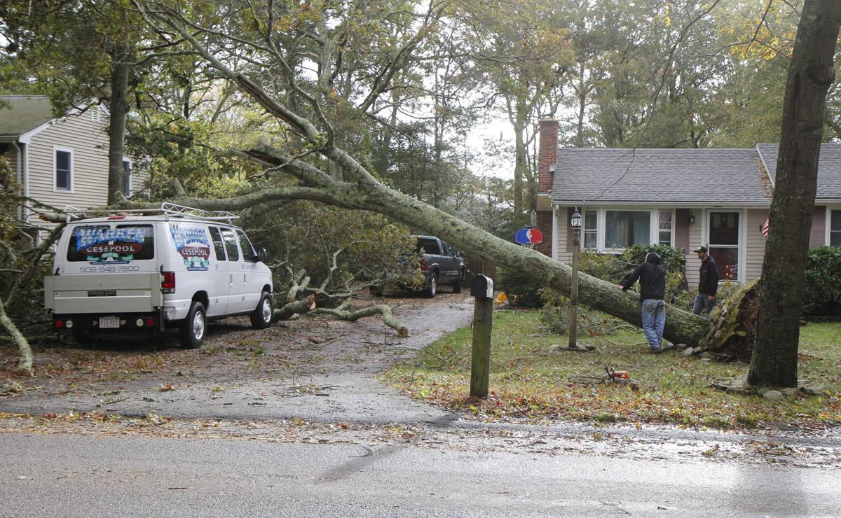 Storm Causes Damage Around Falmouth | Falmouth News | capenews.net