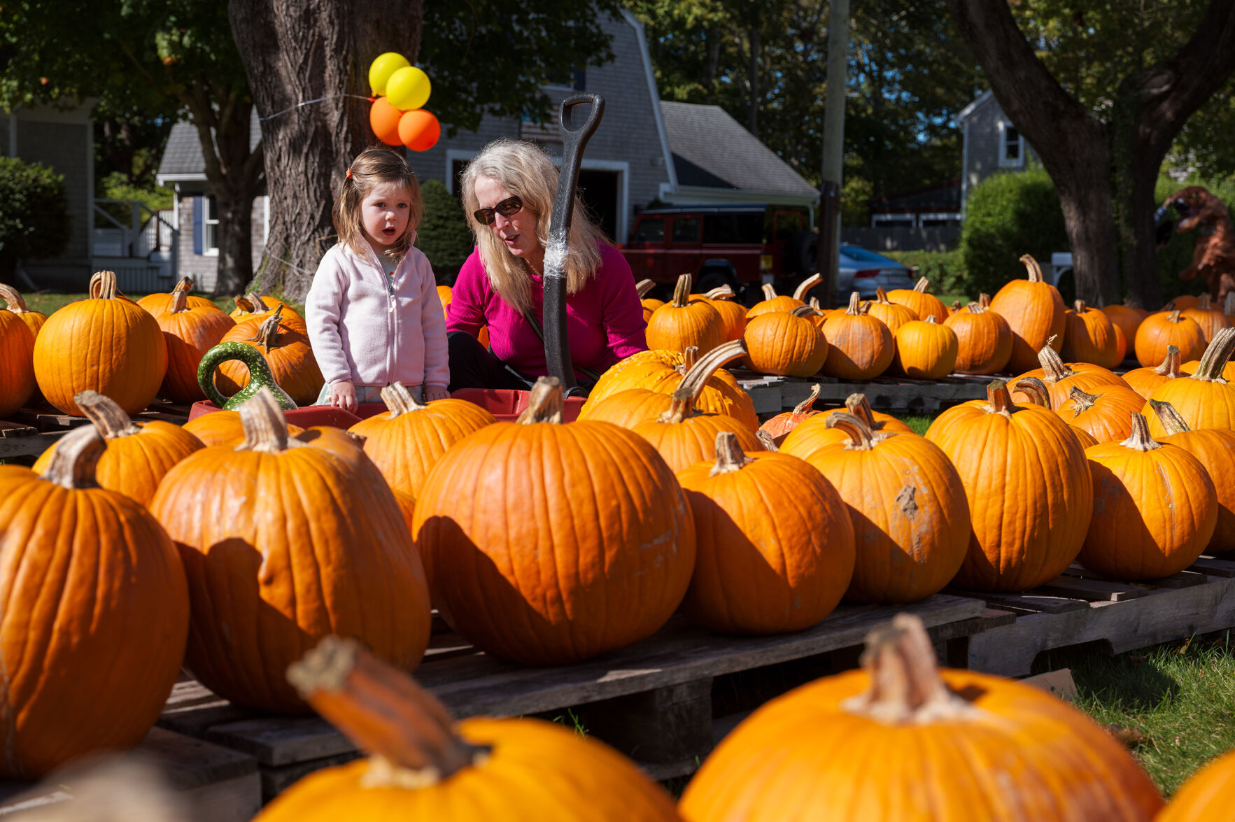 PHOTOS: Family Fun Day At The Pumpkin Patch | Bourne News | capenews.net