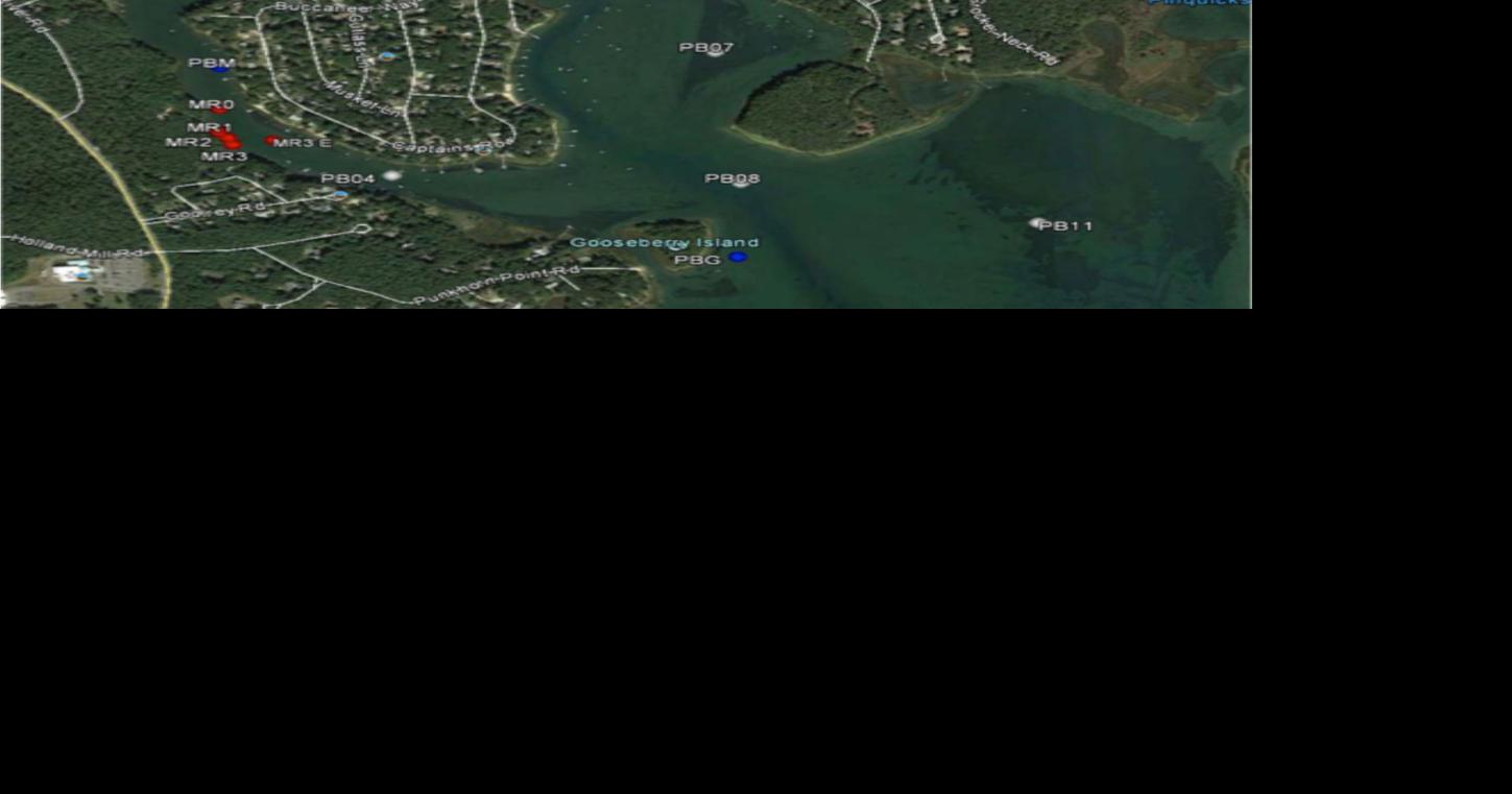 Study: Shellfish Prove Worth In Cleaning Mashpee's Waters | Mashpee ...