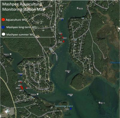 Study: Shellfish Prove Worth In Cleaning Mashpee's Waters | Mashpee ...