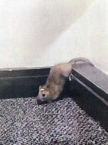 Mashpee Police Station | | capenews.net