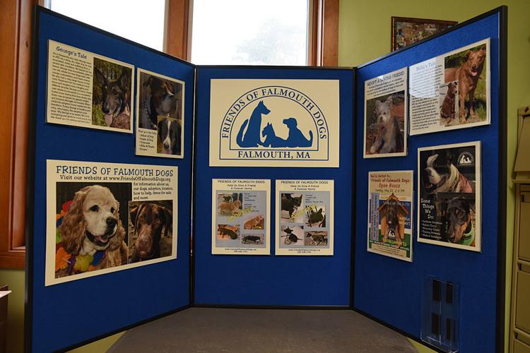 Visiting Falmouth Dogs | Falmouth News | capenews.net