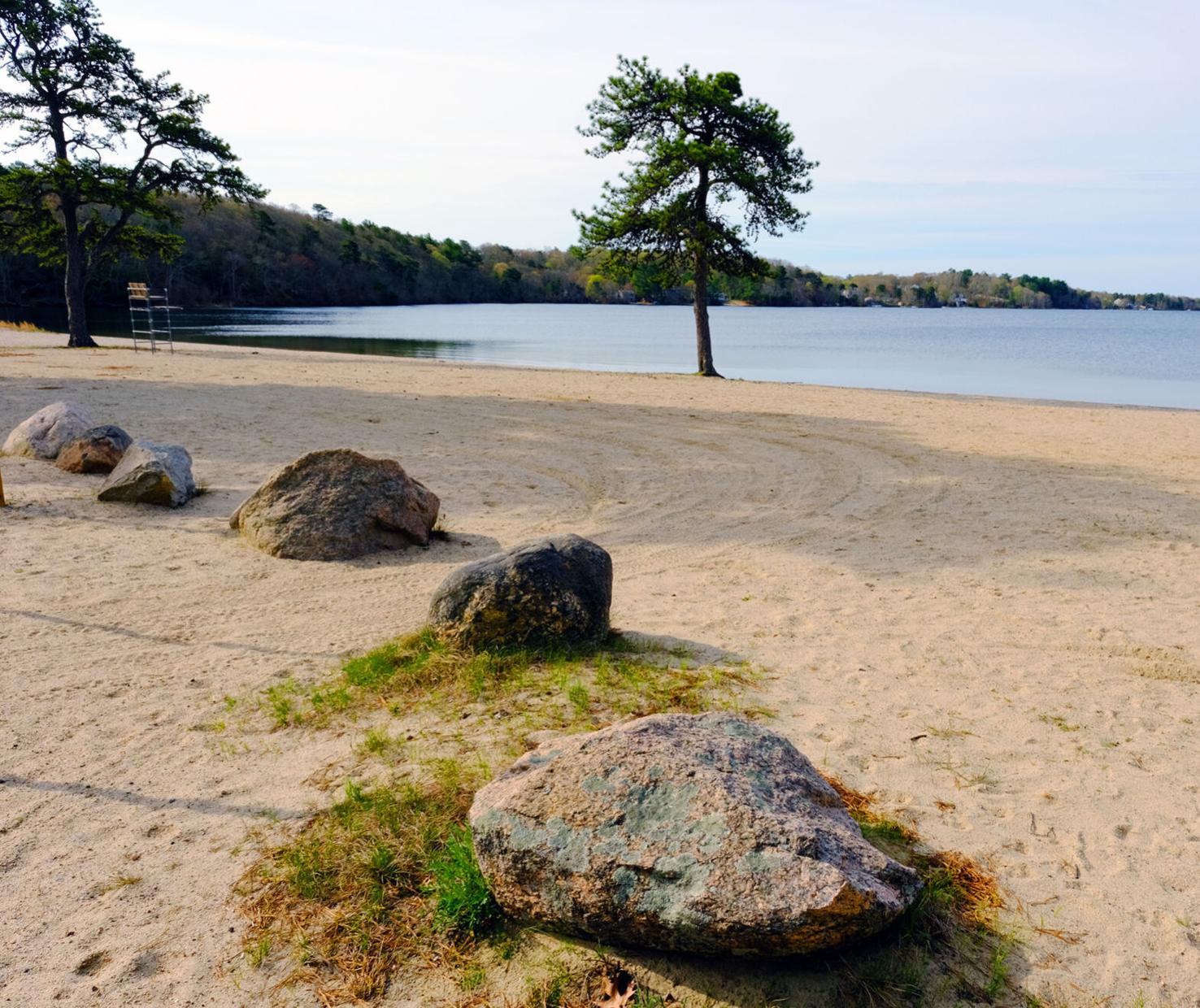 Invasive Milfoil Discovered In Johns Pond In Mashpee | Mashpee News ...