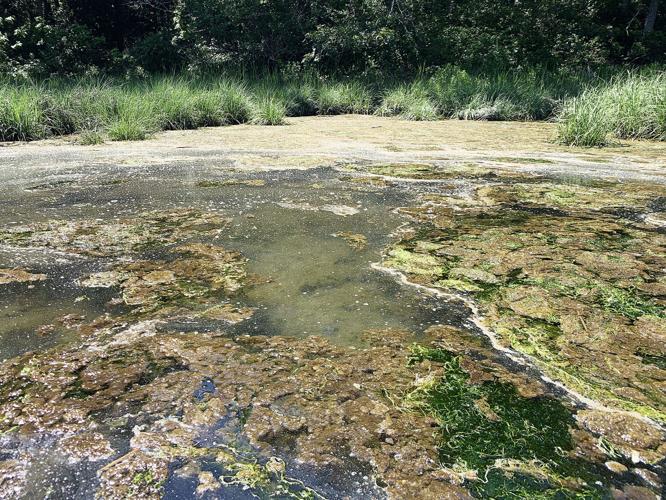 Year After Year, Mashpee Installs Septic Systems Known To Pollute ...