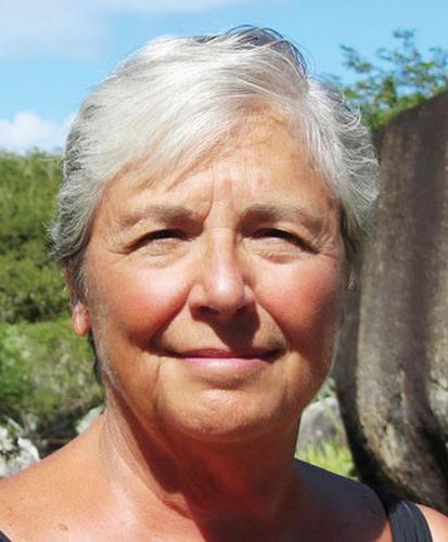 Scholar Sees Constitution As Unifying Force In Divided Nation ...