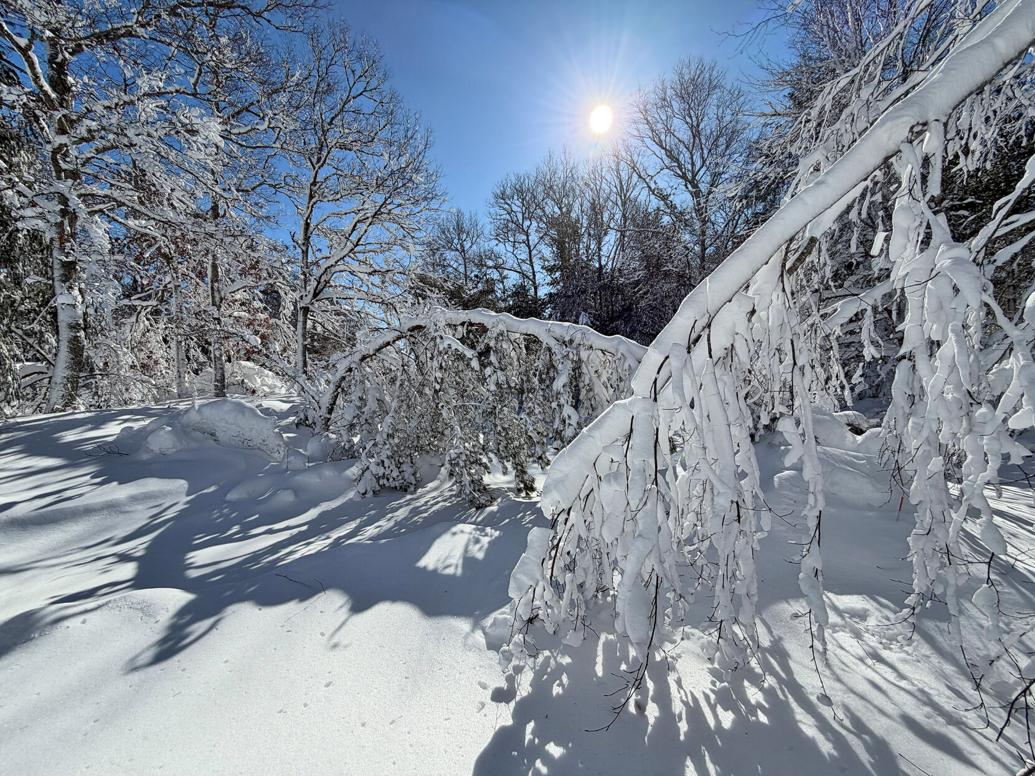 Cape Cod Continues To Recover From Historic Blizzard | Regional News ...