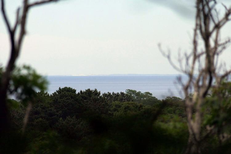 Maple Swamp Offers Visitors New Highs | Regional News | capenews.net