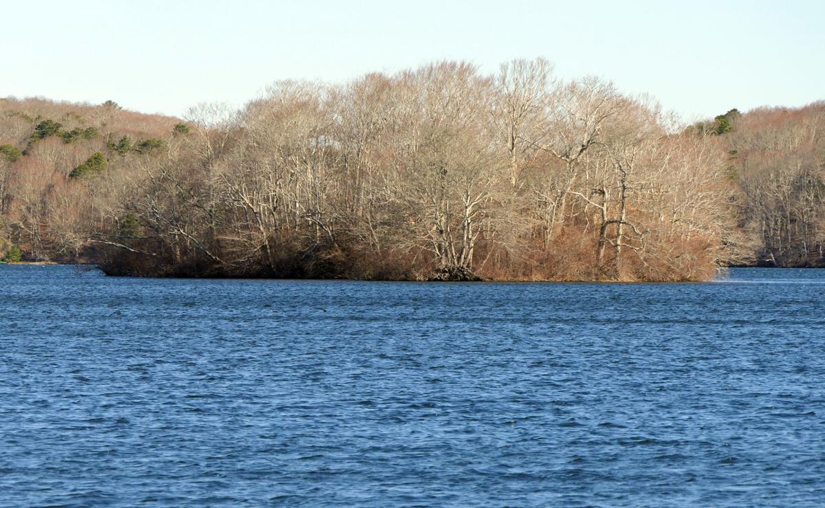 Mashpee-Wakeby Islands Gifted For Conservation | Sandwich News ...