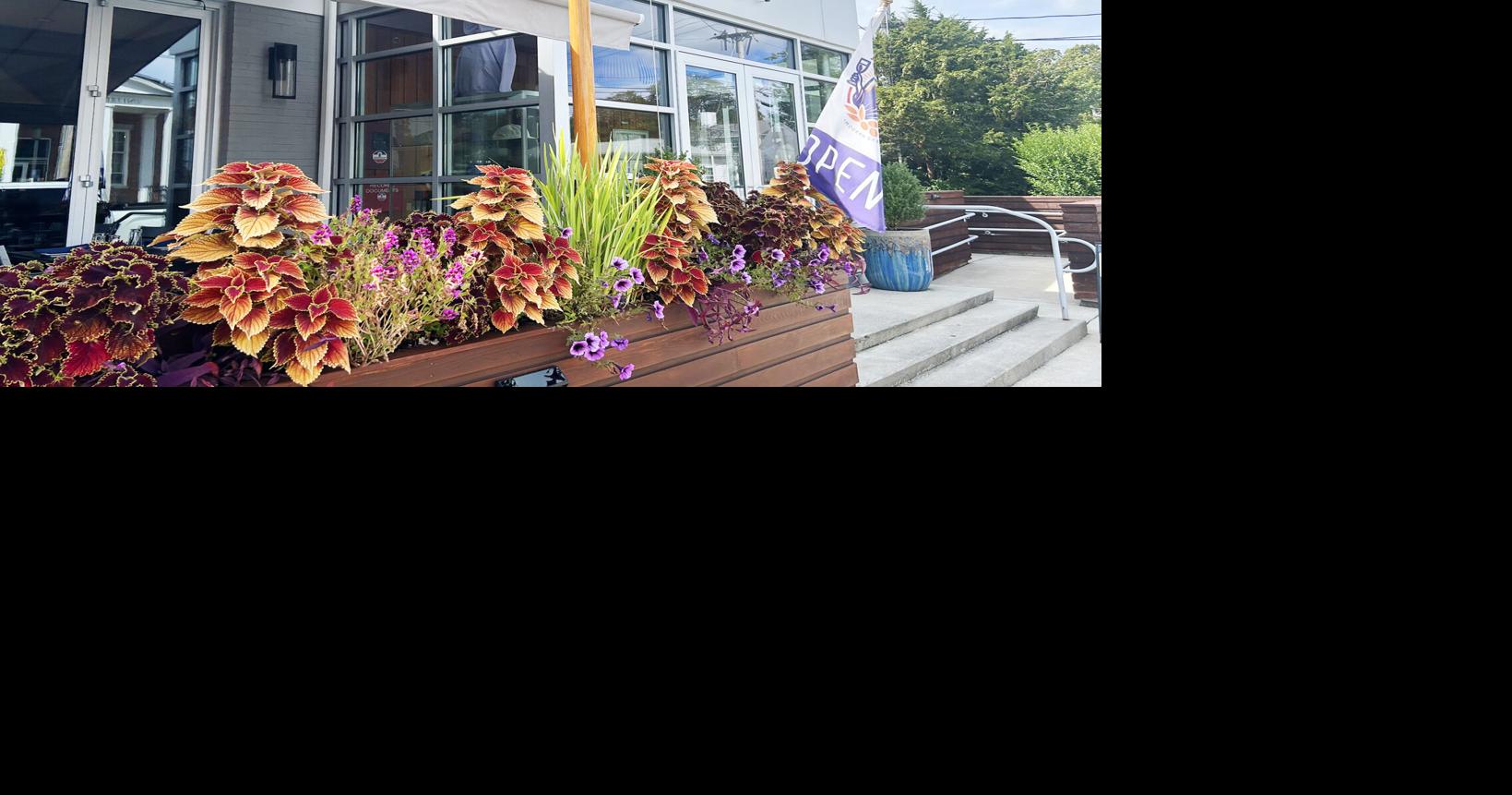 Demetri Markantonis Officially Mashpee Asti Manager, Formerly Known As ...