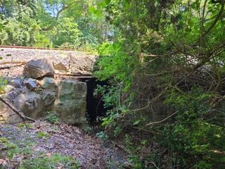Farms And Cow Tunnels In Sandwich | Columns | capenews.net