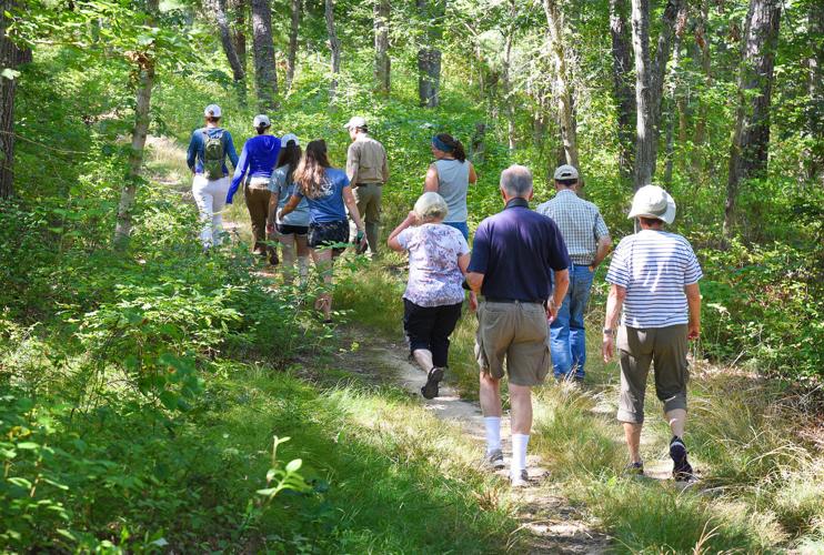 Crowd Turns Out To See Improvements Made To Maple Swamp | Sandwich News ...