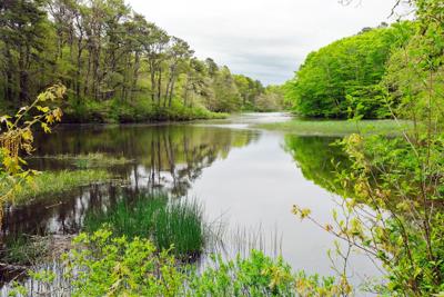 Mashpee ConCom Supports River Signage | Mashpee Briefs | capenews.net