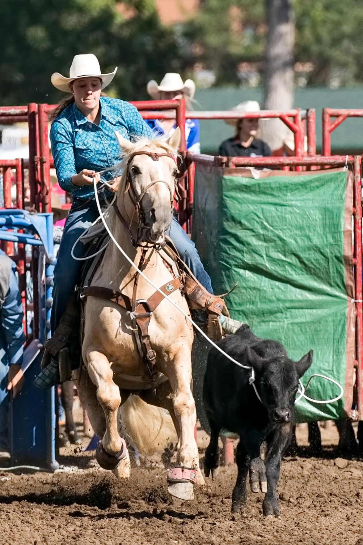 Local rodeo athletes compete in Fort Pierre Region Rodeo | Local Sports ...