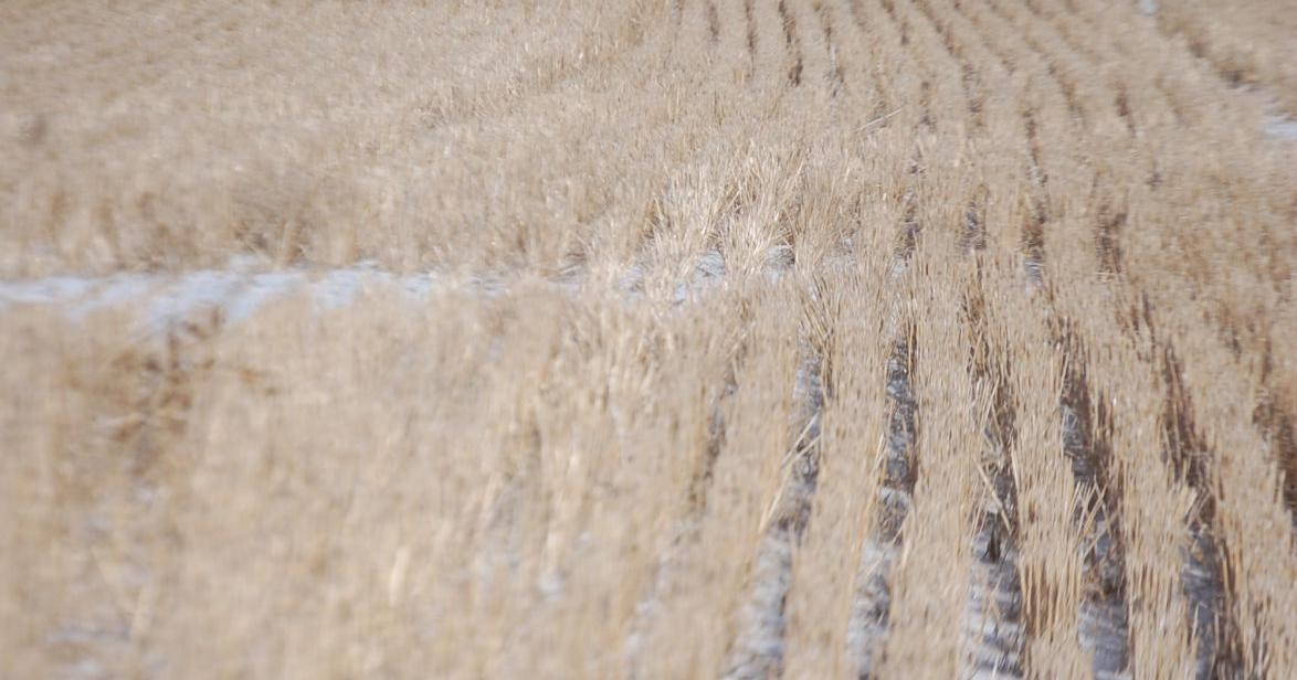 No discouraging words at public hearing in Onida over city issuing ...