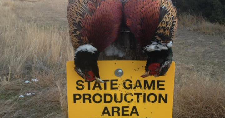 State Game Production Areas get review, possible improvements ...