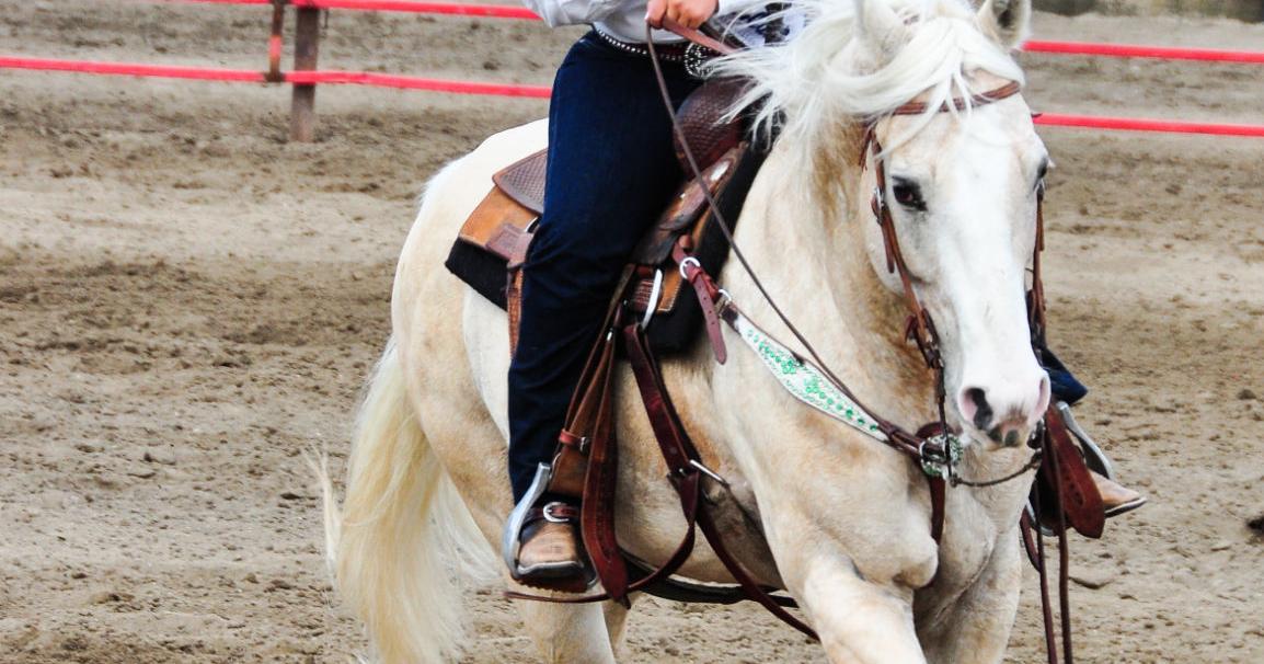 4-H Rodeo State Finals Rodeo Queen Horsemanship | Gallery | capjournal.com