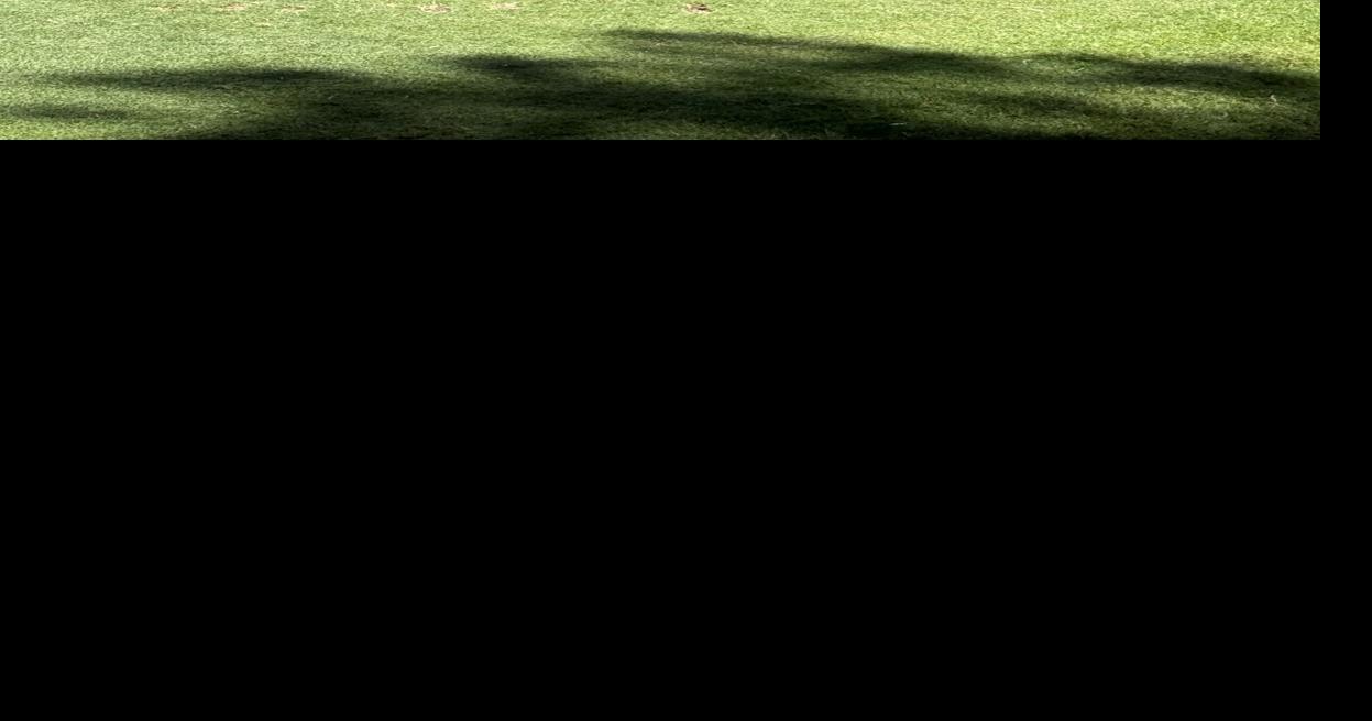 The Founding Fathers of Riggs Golf | Local Sports News | capjournal.com