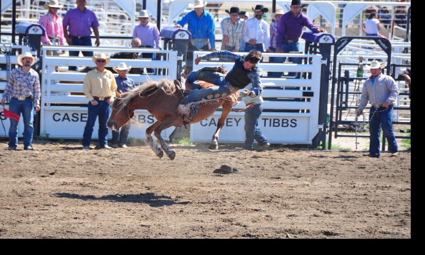 46th Annual Central SD 4-H Rodeo | Gallery | capjournal.com