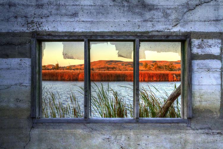 Window on the world | Gallery | capjournal.com