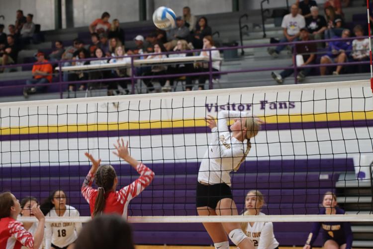 Buffs win two in four-game tourney | Local Sports News | capjournal.com