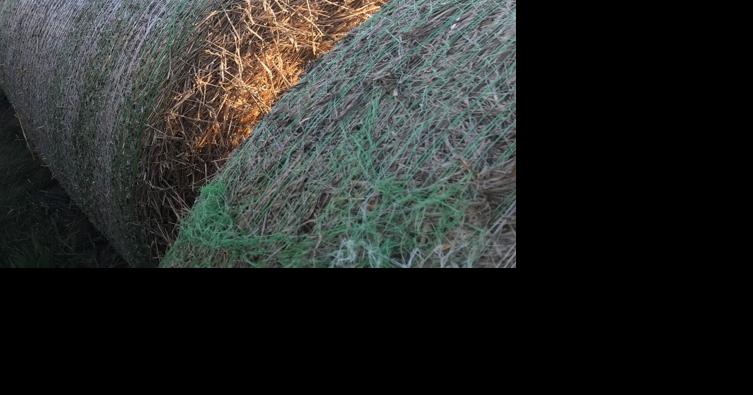 Sow and Grow with Sara: Using hay inoculants, preservatives on dry hay ...