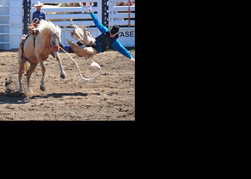 46th Annual Central SD 4-H Rodeo | Gallery | capjournal.com