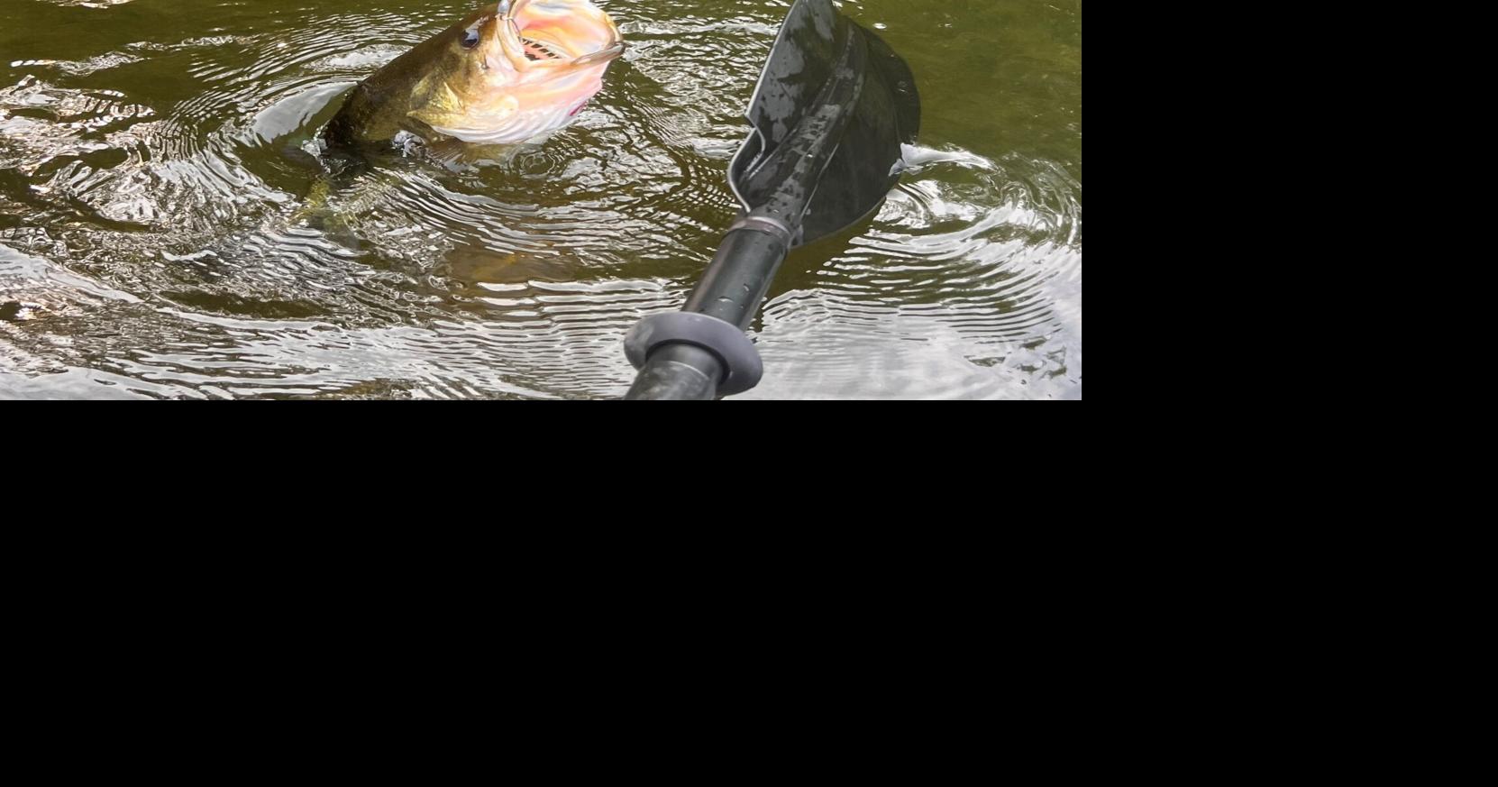 Our Outdoors: Low Water Angle | Outdoors | capjournal.com