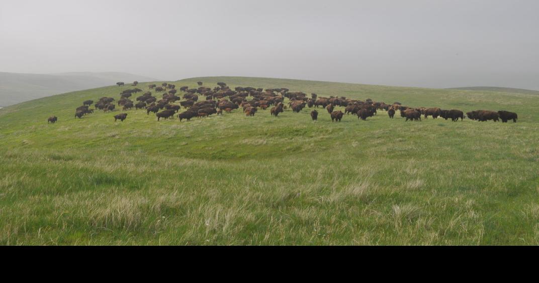 Famed Triple U ranch sale could be $40 million deal | News | capjournal.com