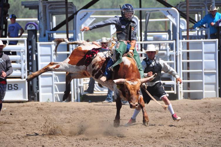 46th Annual Central SD 4-H Rodeo | Gallery | capjournal.com