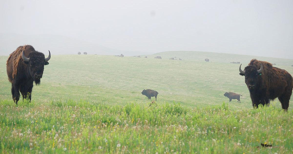 Ted Turner buys famed Triple U Ranch | News | capjournal.com