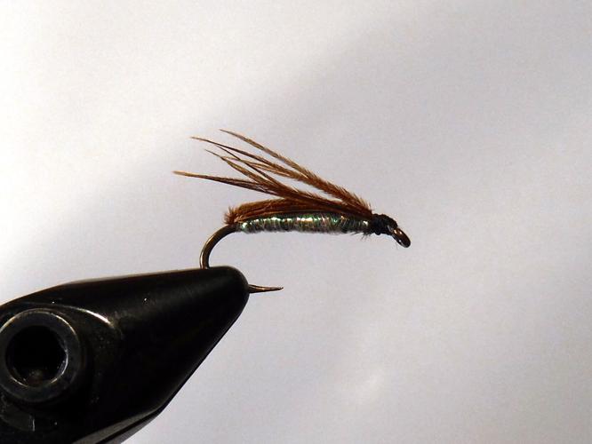 Simple nymphs to start off tying | Outdoors | capjournal.com