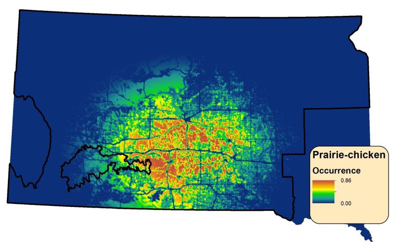 New maps show SD’s grouse habitat | CapJournal Bureau | capjournal.com