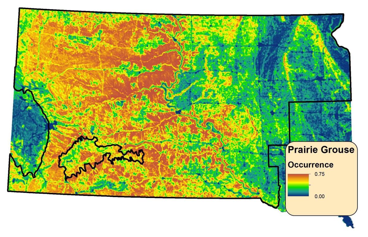 New maps show SD’s grouse habitat | GF&P | capjournal.com