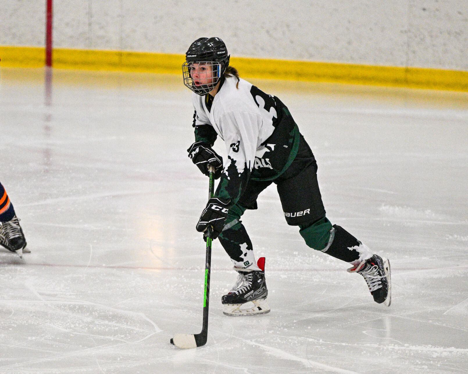 Sports Roundup | Local Sports News | capjournal.com