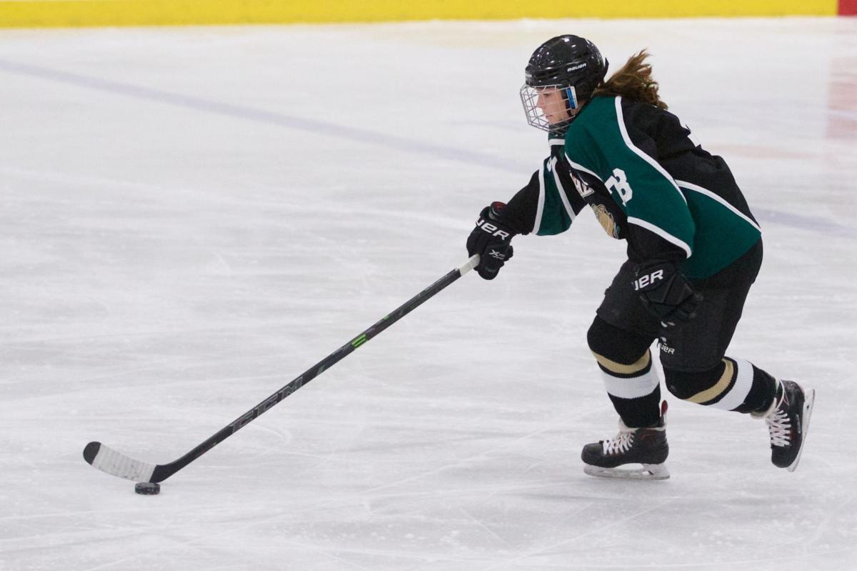 Tryouts for girls hockey Team SD to be held in July | Local Sports News ...