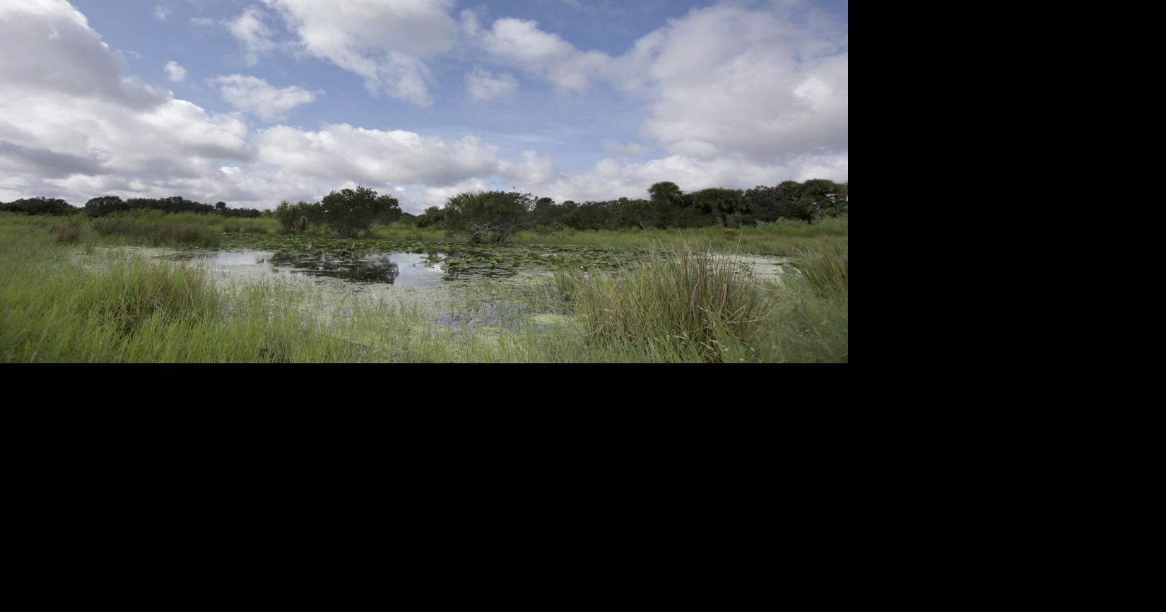 Mormon ranch in Florida to replace cattle with humans | News ...