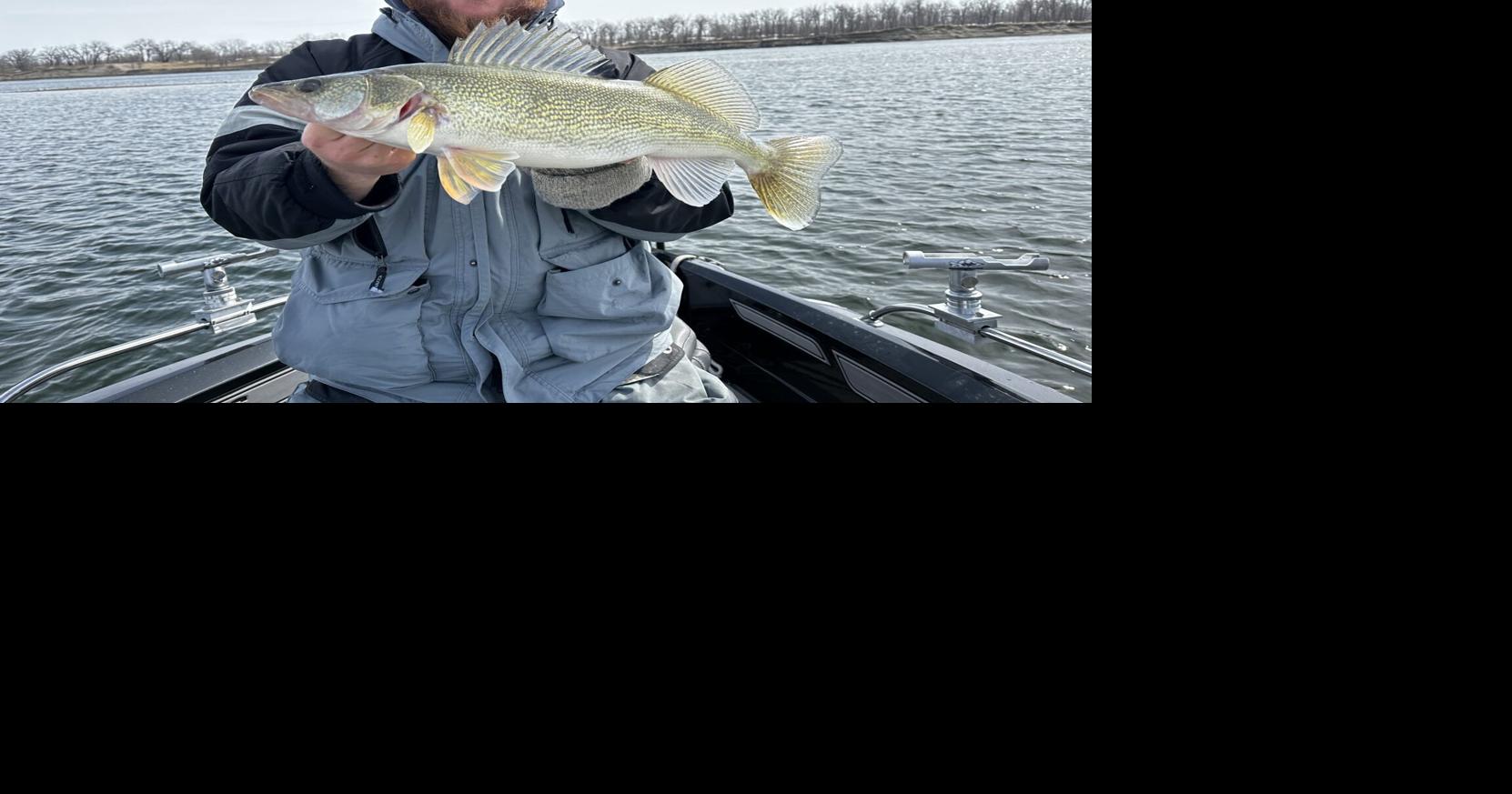 Things Underway with Walleyes | News | capjournal.com