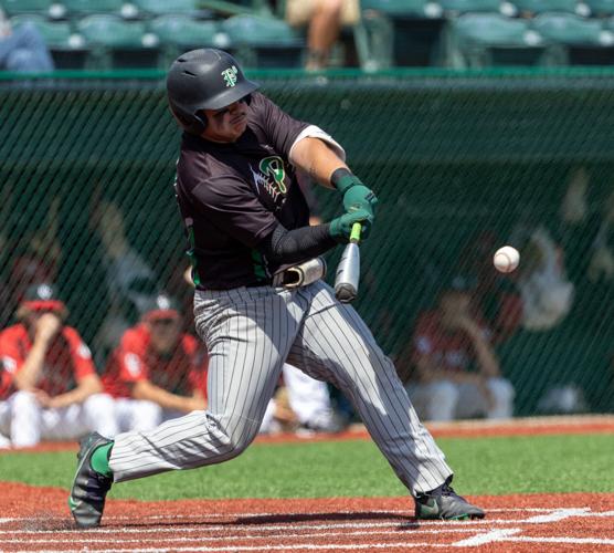 Senior leadership helps guide Govs baseball to state title ...