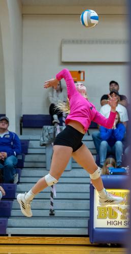 Sports Roundup | Local Sports News | capjournal.com