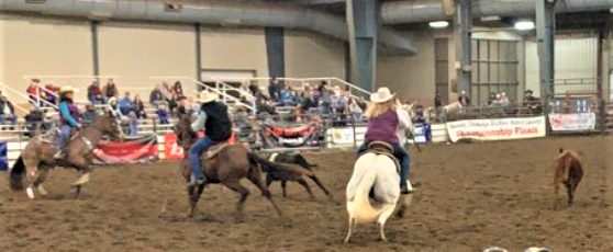 Fort Pierre, Ree Heights team named reserve champions at SD Rodeo ...