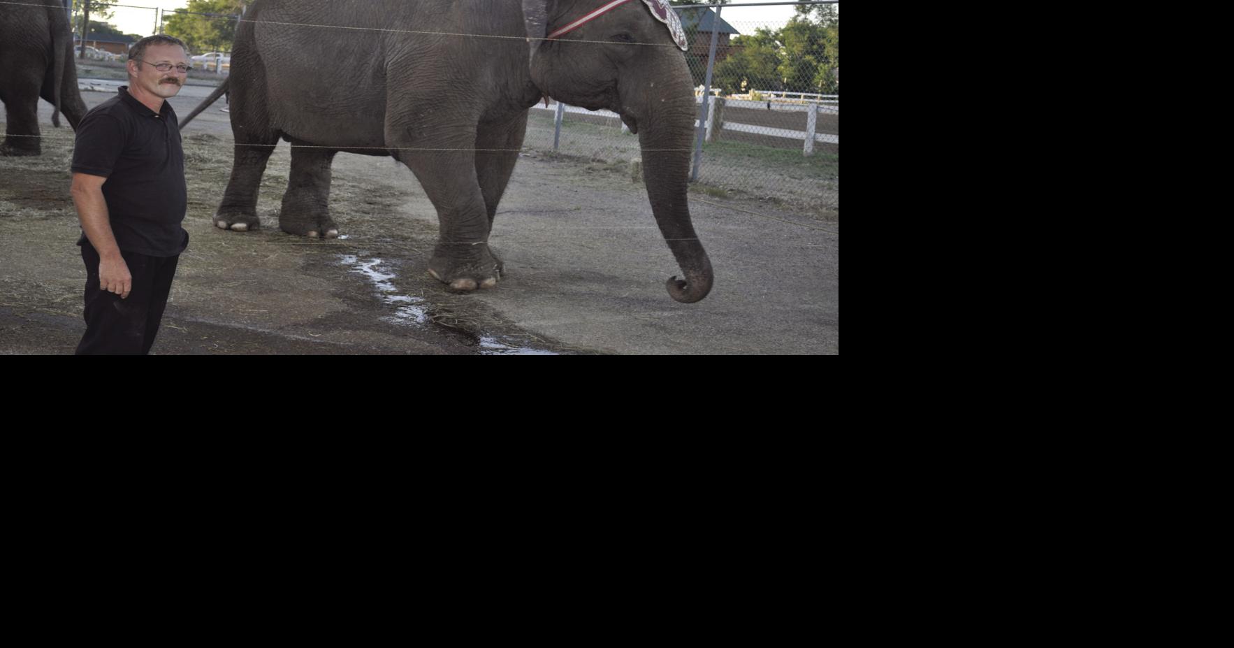 Shrine Circus has the elephants in the room | News | capjournal.com