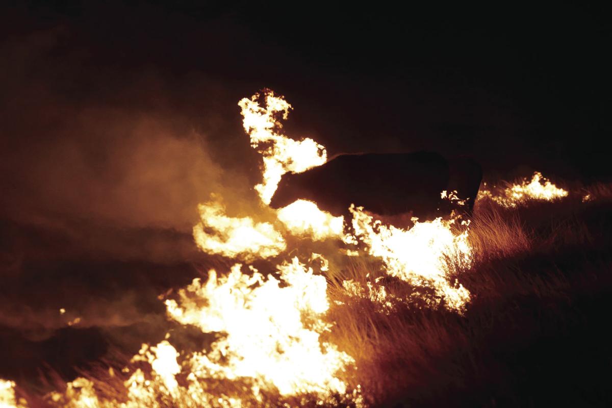 SD farmer organizes hay relief for burned out livestock owners in ...