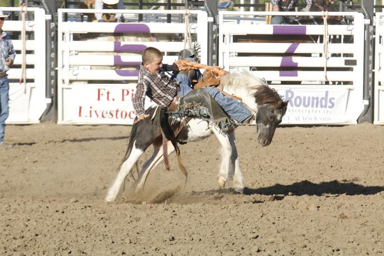 Casey Tibbs Match of Champions | Local News Stories | capjournal.com