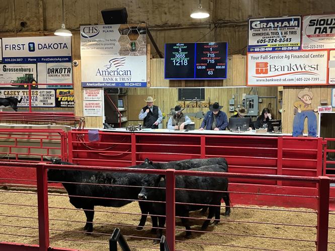 Fort Pierre Livestock continues its legacy | News | capjournal.com