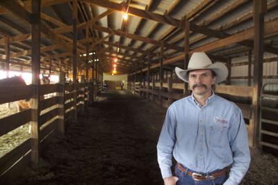 R-CALF supports country-of-origin labeling | News | capjournal.com