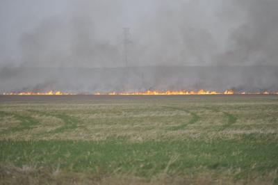 Weekend fires destroy Fort Pierre home, Pierre-area sunflower field ...