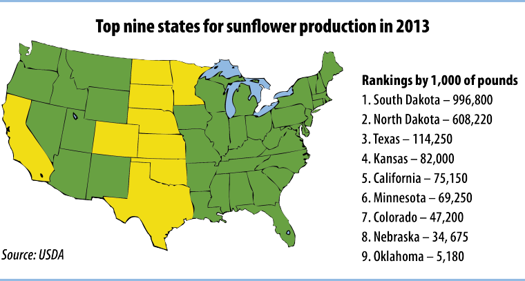 SD outpaces ND in sunflower production for 2013 | Local News Stories ...