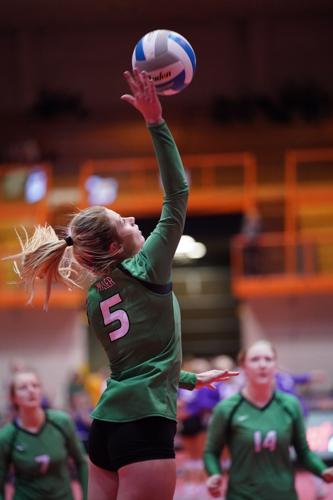 Fernholz, Schlecter named to Class A All-State Volleyball Team | Local ...
