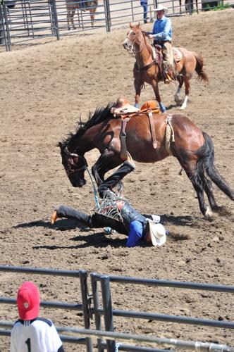 46th Annual Central SD 4-H Rodeo | Gallery | capjournal.com